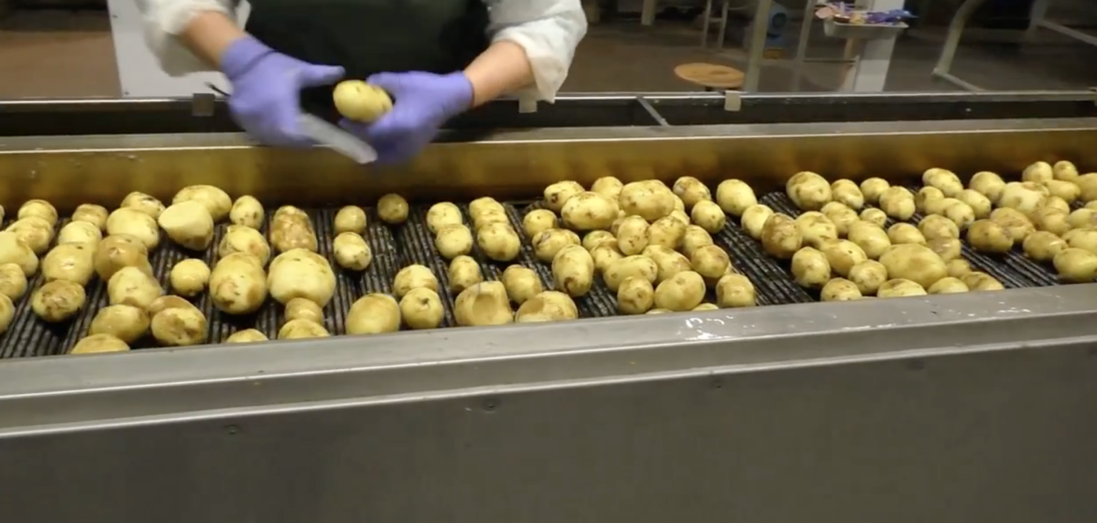 Enhance the production and quality of Potato Chips, French Fries with ...